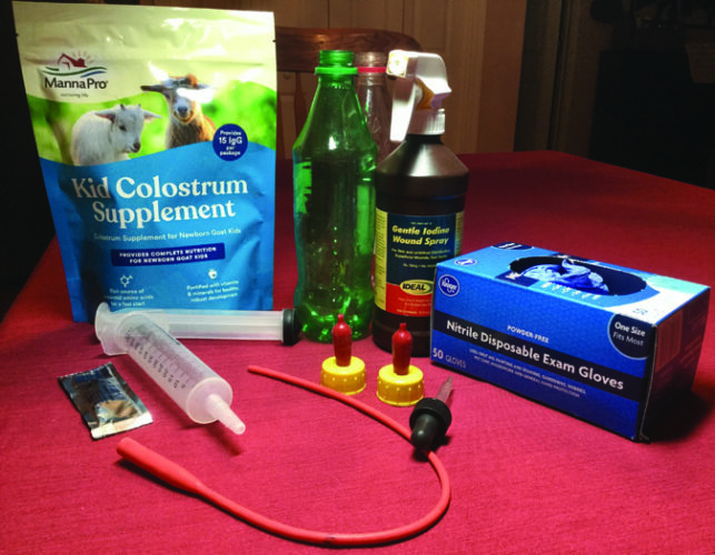 How to Help a Goat Give Birth - Grit